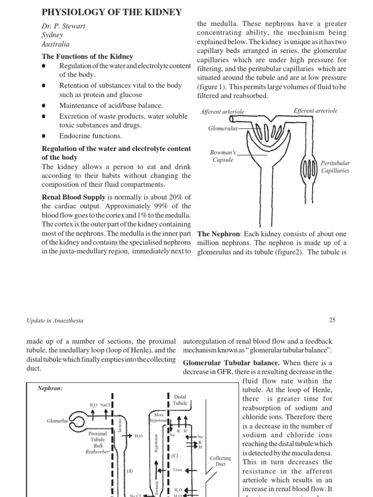Uia 09 PHYSIOLOGY OF THE KIDNEY | PDF | Kidney | Angiotensin