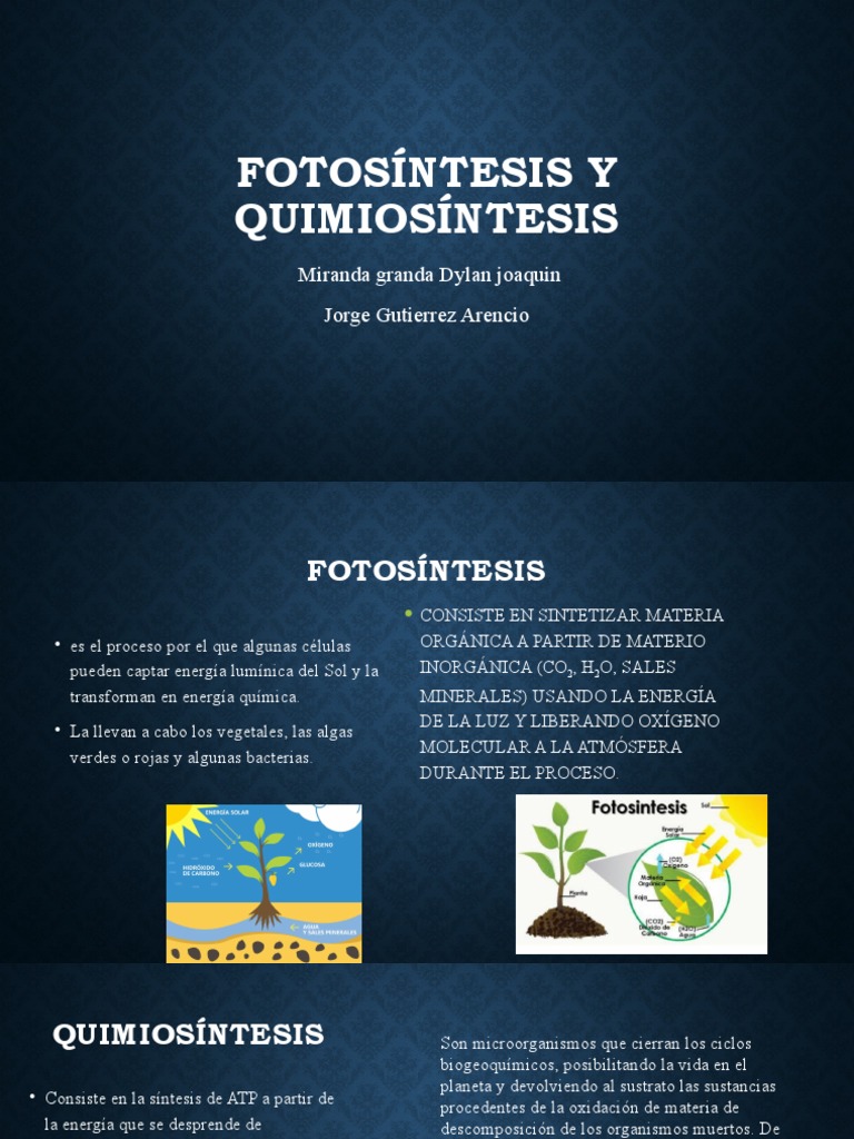 Fotosíntesis Y Quimiosíntesis: Miranda Granda Dylan Joaquin Jorge ...