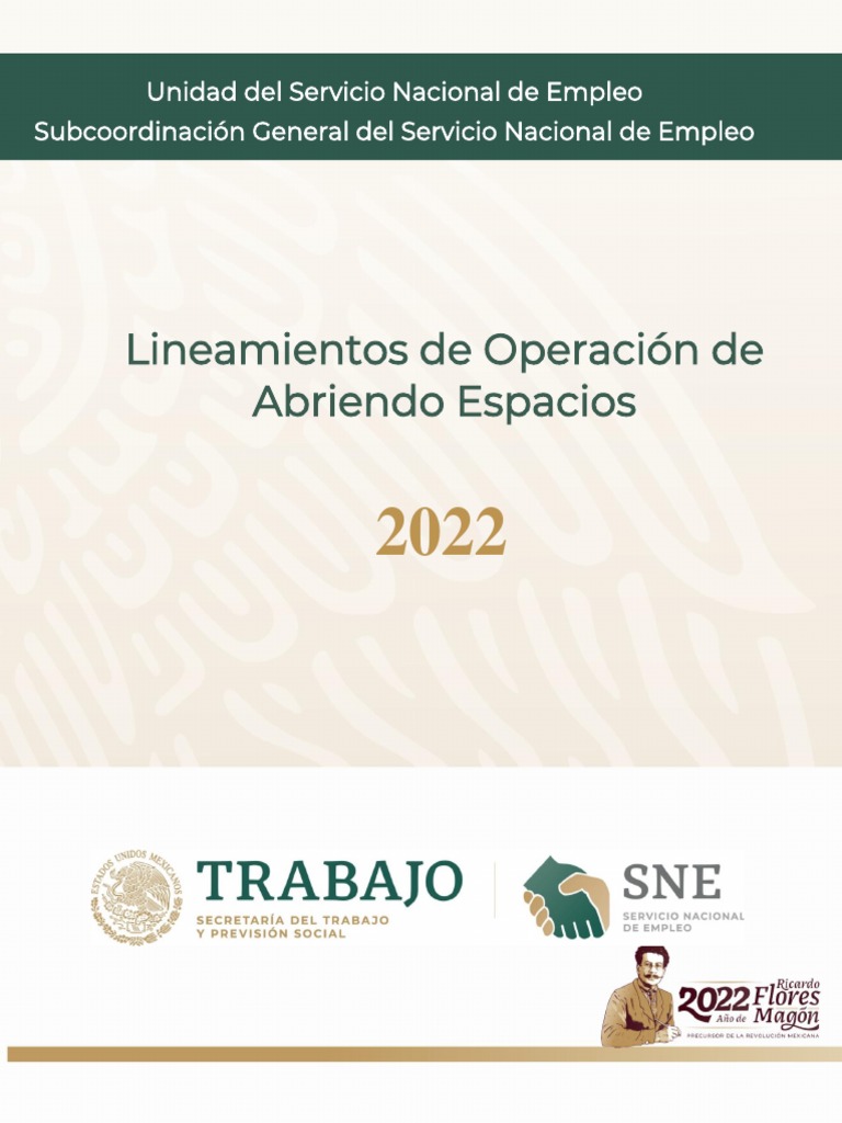 06 LineamientosAbriendoEspacios2022 Vfinal | PDF | Invalidez | Trastorno mental