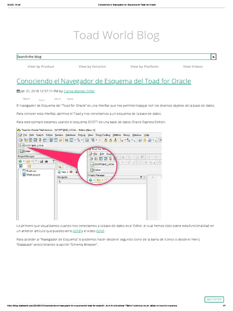 Conociendo El Navegador de Esquema Del Toad For Oracle 2023 | PDF ...