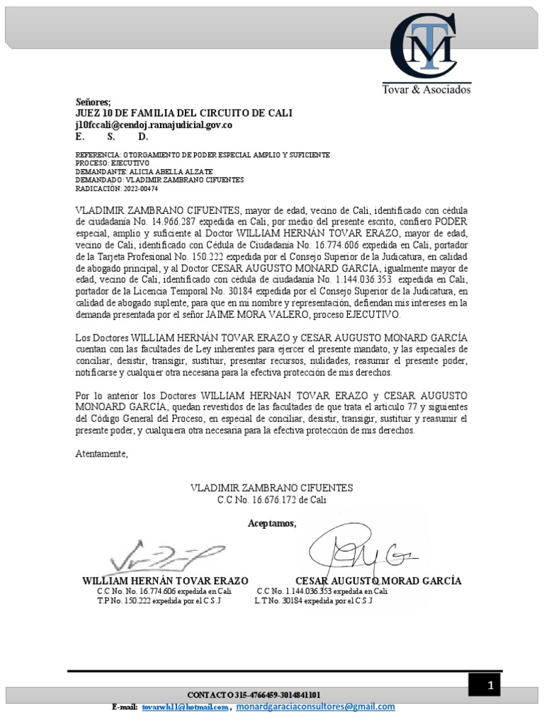 Poder Juzgado 10 Señor Vladimir | PDF