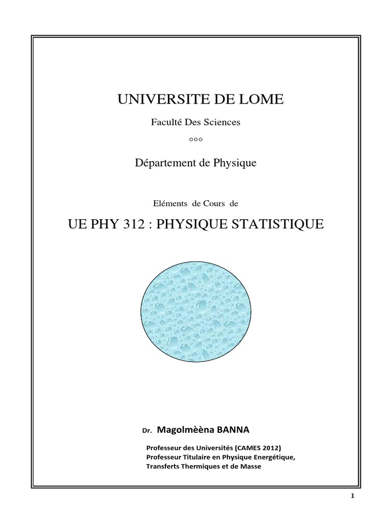 Cours de Physique Statistique - UE PHY 312 | PDF | Entropie ...