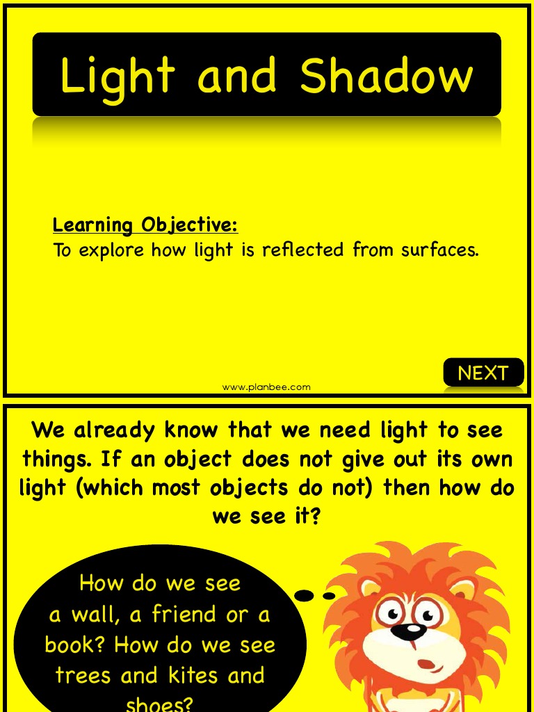 Understanding Light Reflection Basics | PDF | Self-Improvement