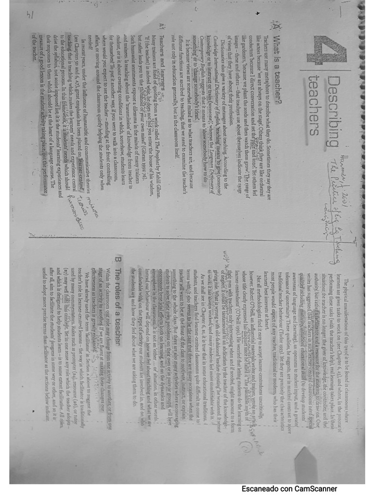 Describing Teachers | PDF