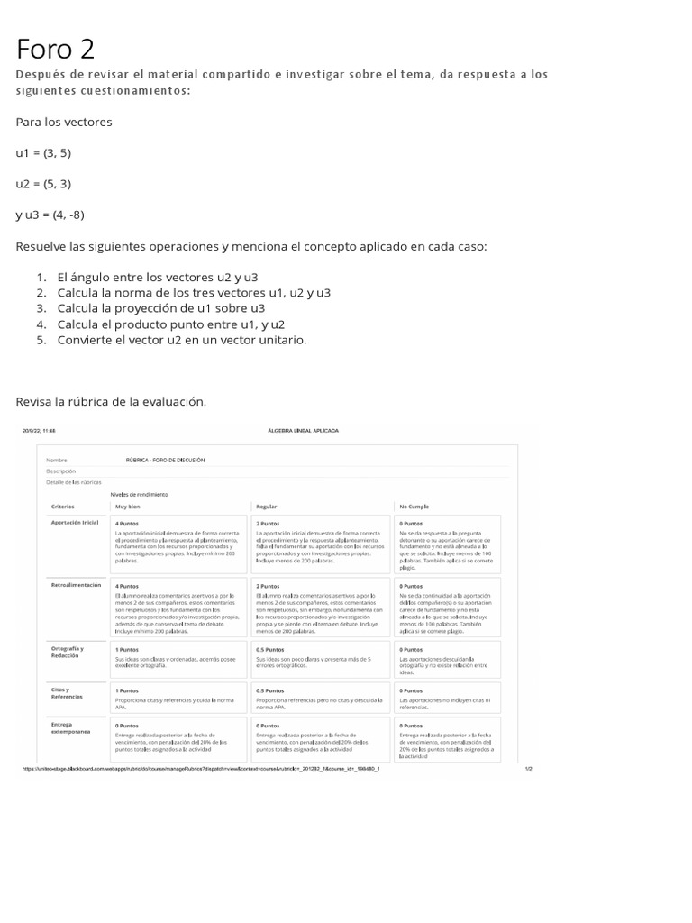 Foro 2 | PDF | Vector Euclidiano | Multiplicación
