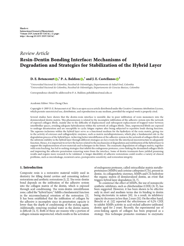 Resin-Dentin Bonding Interface - Mechanisms of Degradation and Strategies For Stabilization of ...