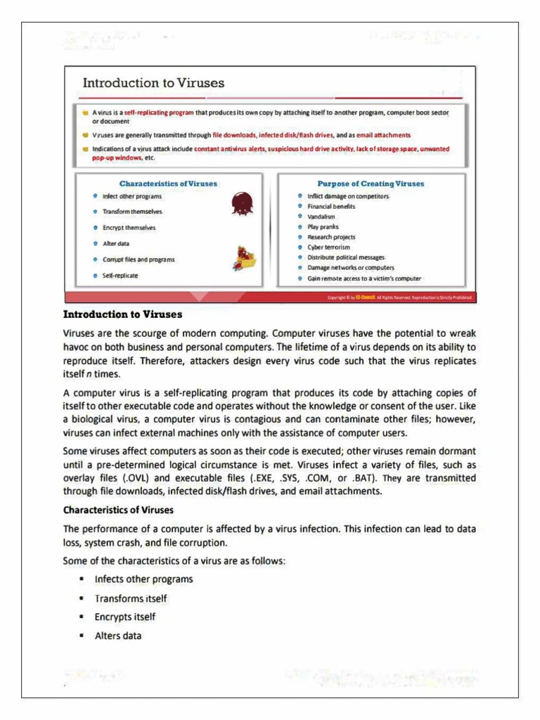 Introduction To Viruses | PDF | Computer Virus | Malware