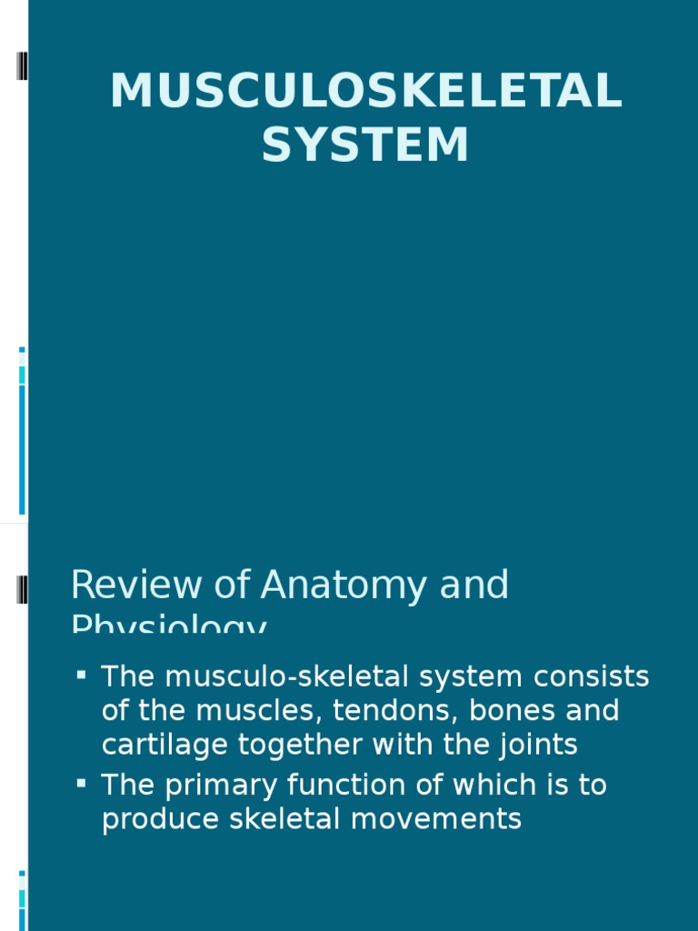 Orthopedic Nursing | PDF | Osteoblast | Bone