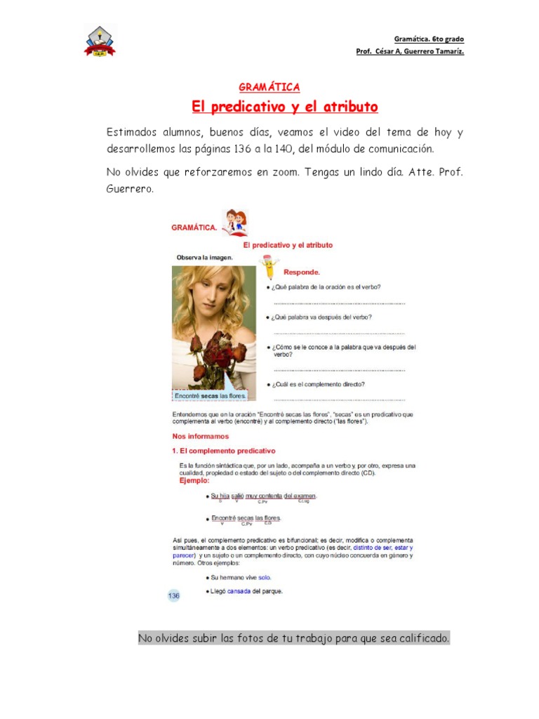 El Predicado y El Atributo COM 6to 290620 | PDF