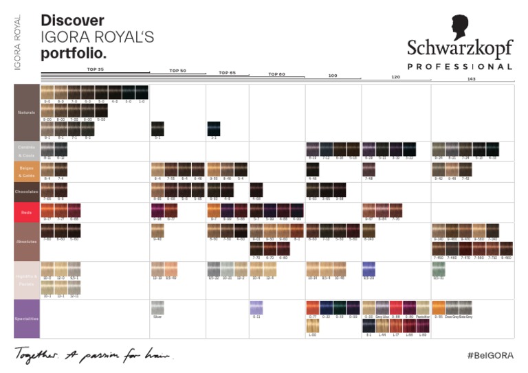 IGORA ROYAL Color Chart | PDF