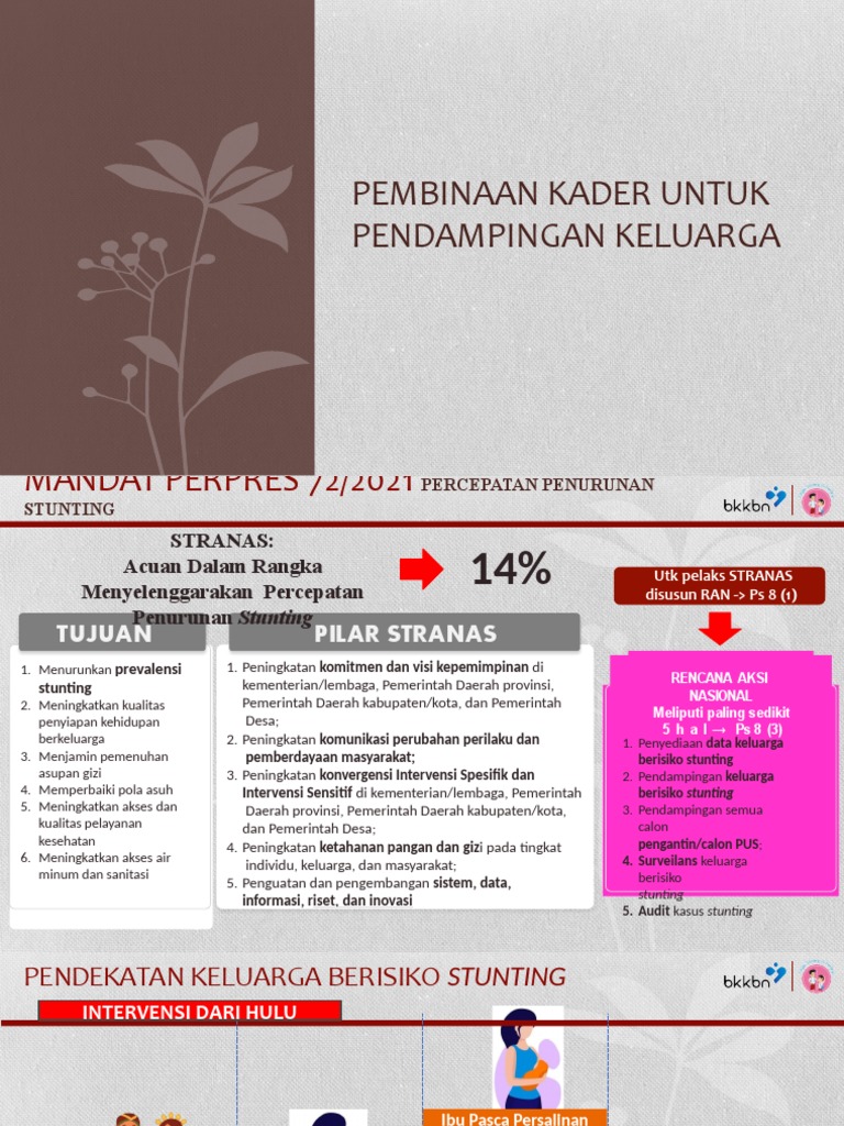 Pendampingan Kader TPK Stunting | PDF