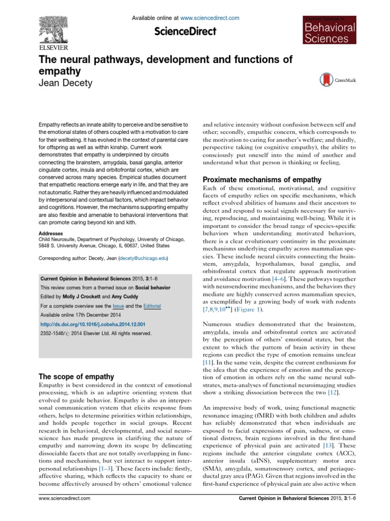 The Neural Pathways Development and Functions of | PDF