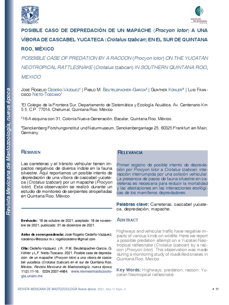 340 Otro 700 1 10 20220226 | PDF | Serpiente | Taxa