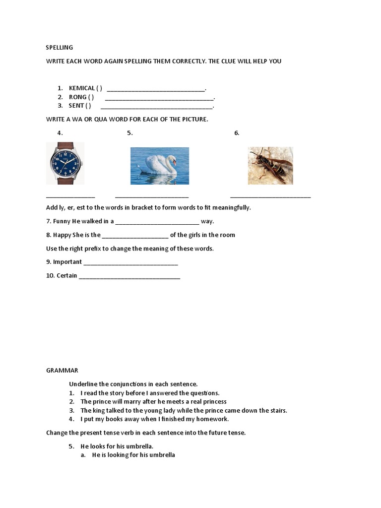 Quiz Questions | PDF | Adjective | Adverb