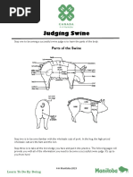 Module I. Beef Cattle Production | PDF | Cattle | Calf