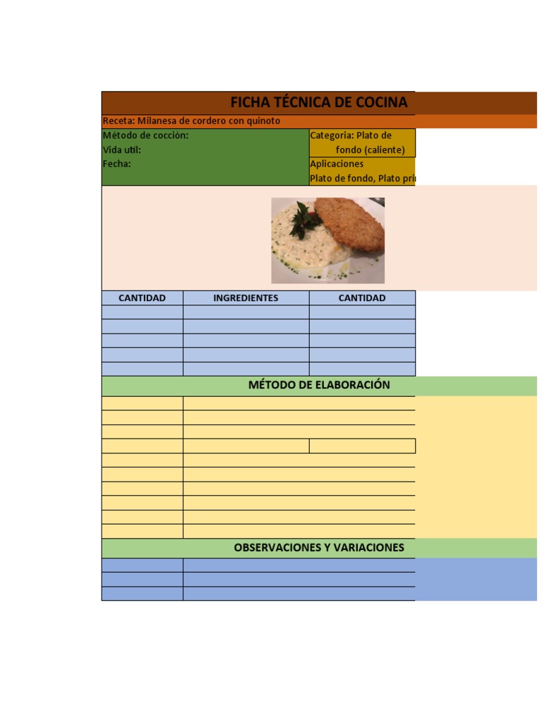FICHAS - TECNICAS EJEMPLO FORMATO Ok | PDF