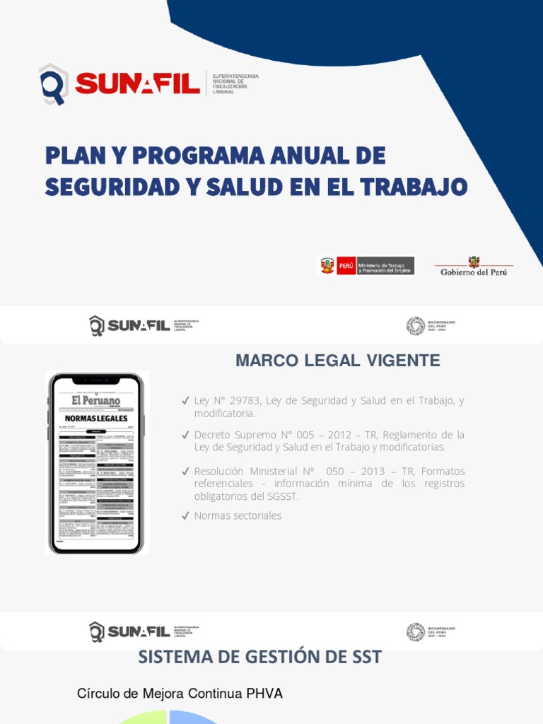 Plan y Programa Anual de Seguridad y Salud | PDF | Presupuesto