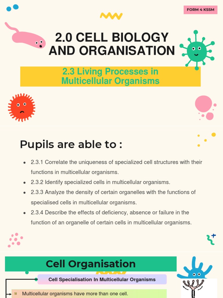 2.0 Cell Biology and Organisation: 2.3 Living Processes in Multicellular Organisms | PDF ...