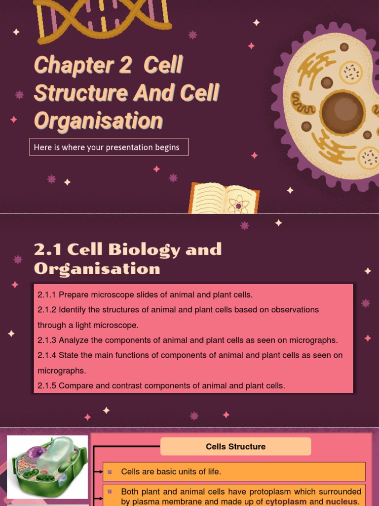 Chapter 2 Cell Structure and Cell Organisation | PDF