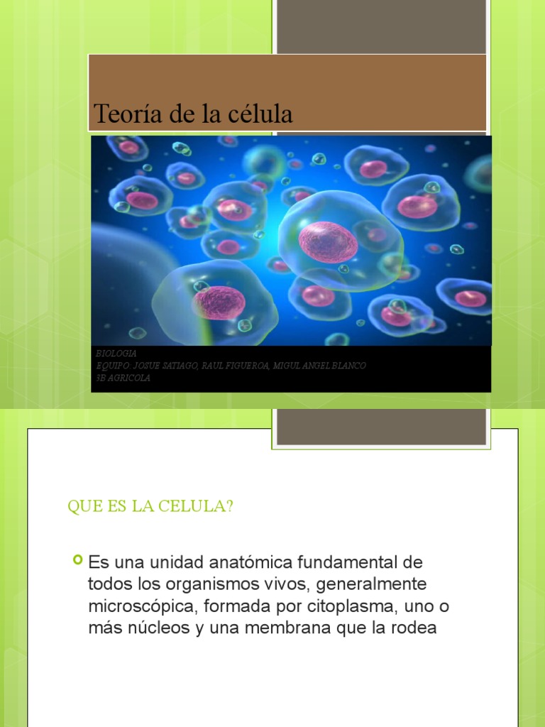 Teoría de La Célula | Descargar gratis PDF | Biología Celular) | Nucleo ...