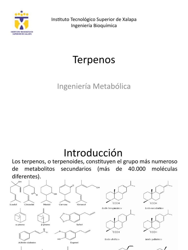 2 1 4 Terpenos Pdf Bioquímica Química