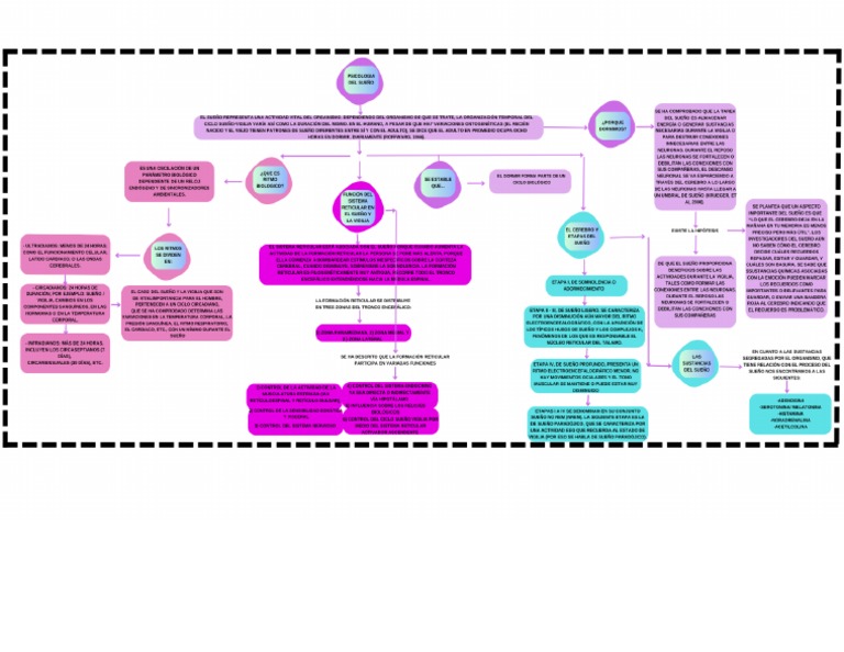 Mapa Conceptual Psicologia Del Sueño | PDF