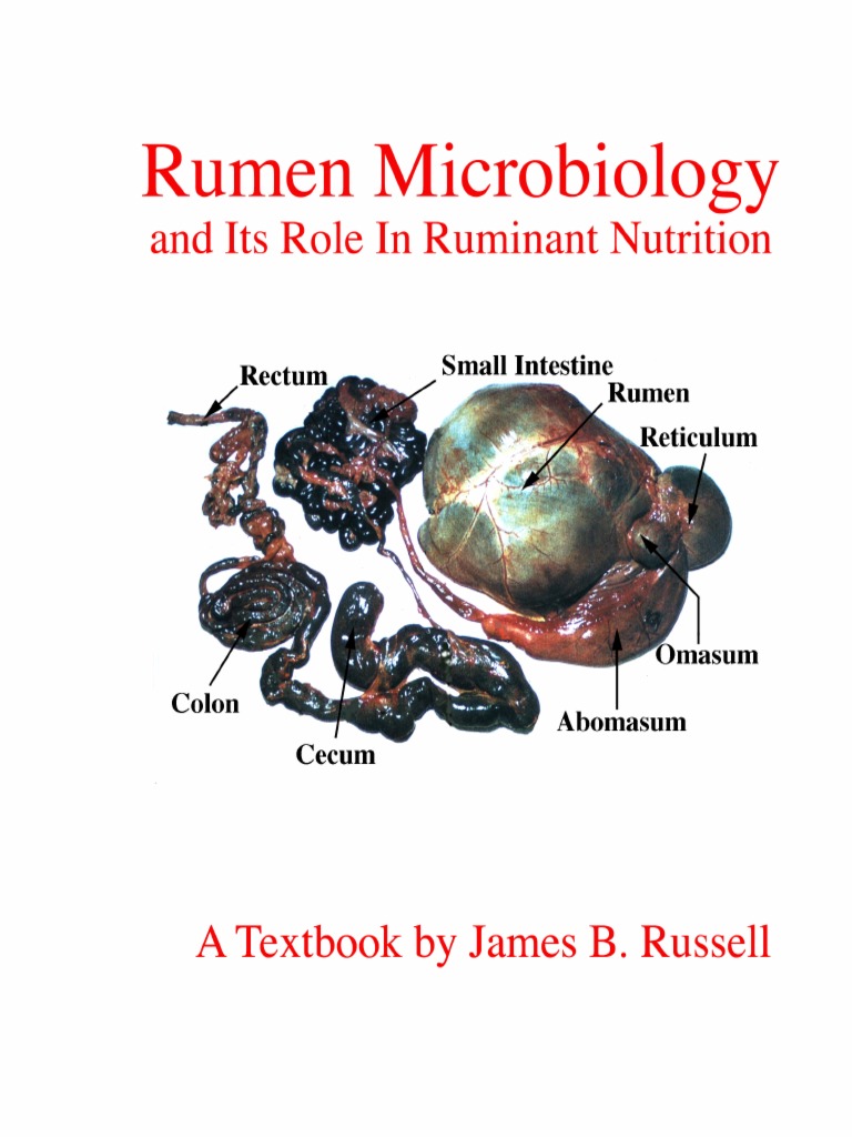 Rumen Microbiology and Its Role in Ruminant Nutrition - Russell | PDF ...