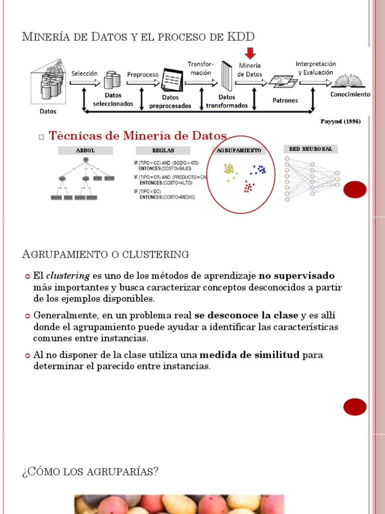 Técnicas-de-agrupamiento | PDF | Procesamiento de datos | Matemáticas Aplicadas