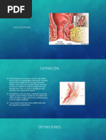 Signo de Mickey Mouse | PDF | Vena | Ultrasonido médico