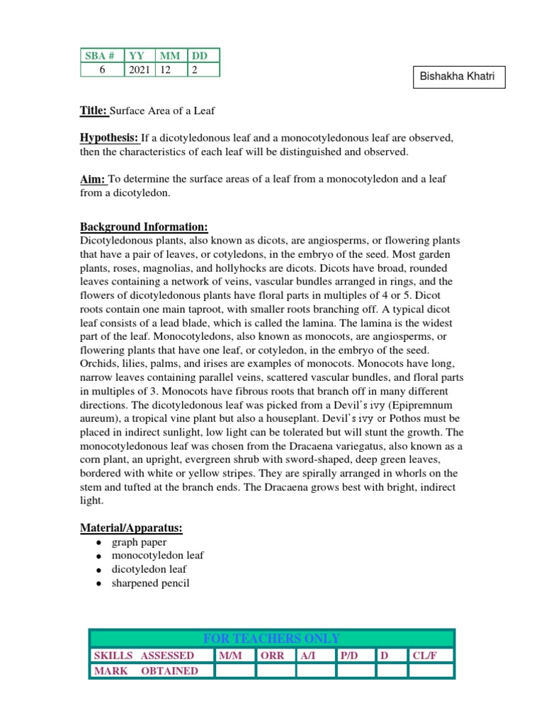 SBA #6 - Surface Area of A Leaf | PDF | Leaf | Botany