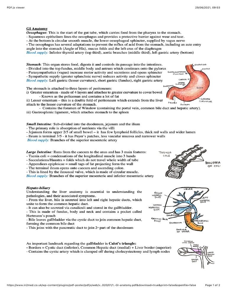 In2Med Gastroenterology | PDF