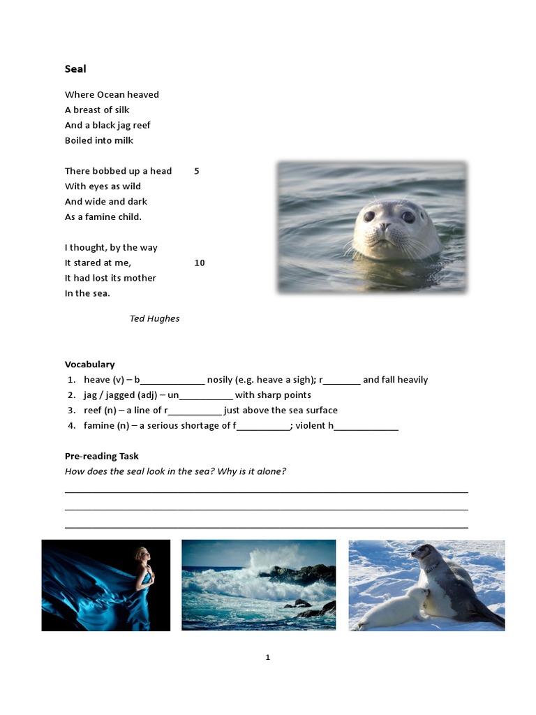 Analysis of Ted Hughes' "Seal" Poem | PDF | Poetry