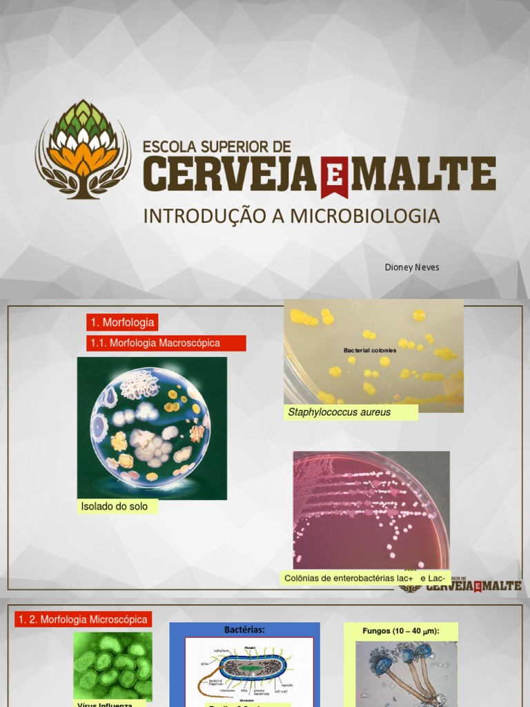 Slide introdutória sobre microbiologia | PDF | Anatomia | Biologia