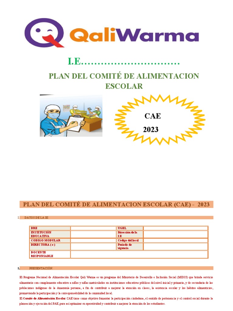 Plan de Cae-2023 | PDF | Violación | Educación primaria