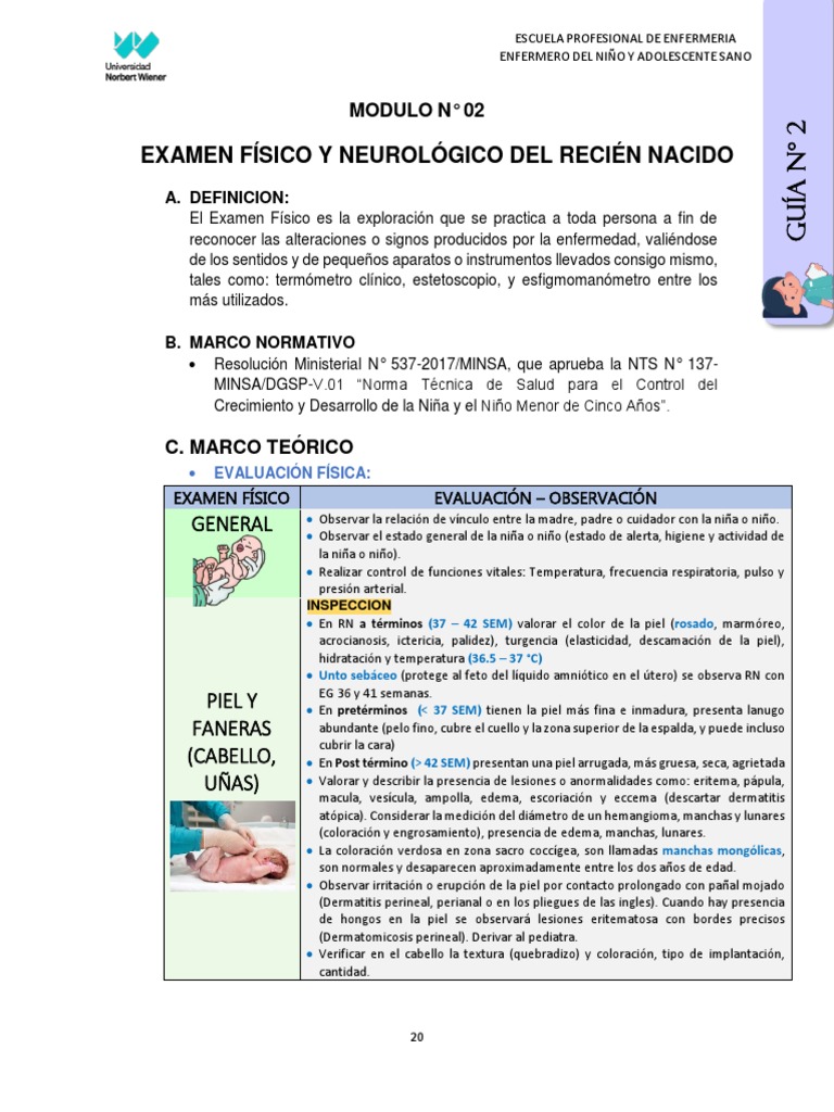 Guia 2 Examen Físico y Neurológico Del Recién Nacido | PDF | Examen físico | Especialidades Medicas