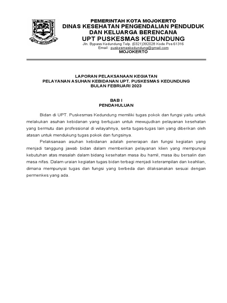 LAPORAN KINERJA SITI NURUL HIDAYATI, AMd - Keb FEBRUARI 2023 | PDF