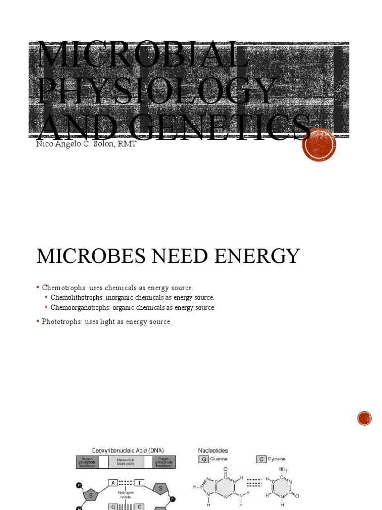 Microbial Physiology and Genetics | PDF | Bacteria | Biology