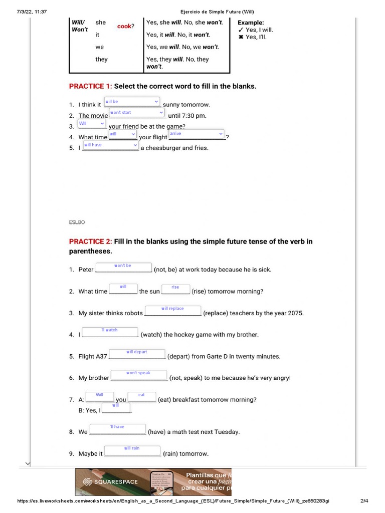 Will and Won't Worksheet Evidence | PDF
