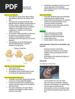 ge-logiq-e10-user-manual | PDF | Fetus