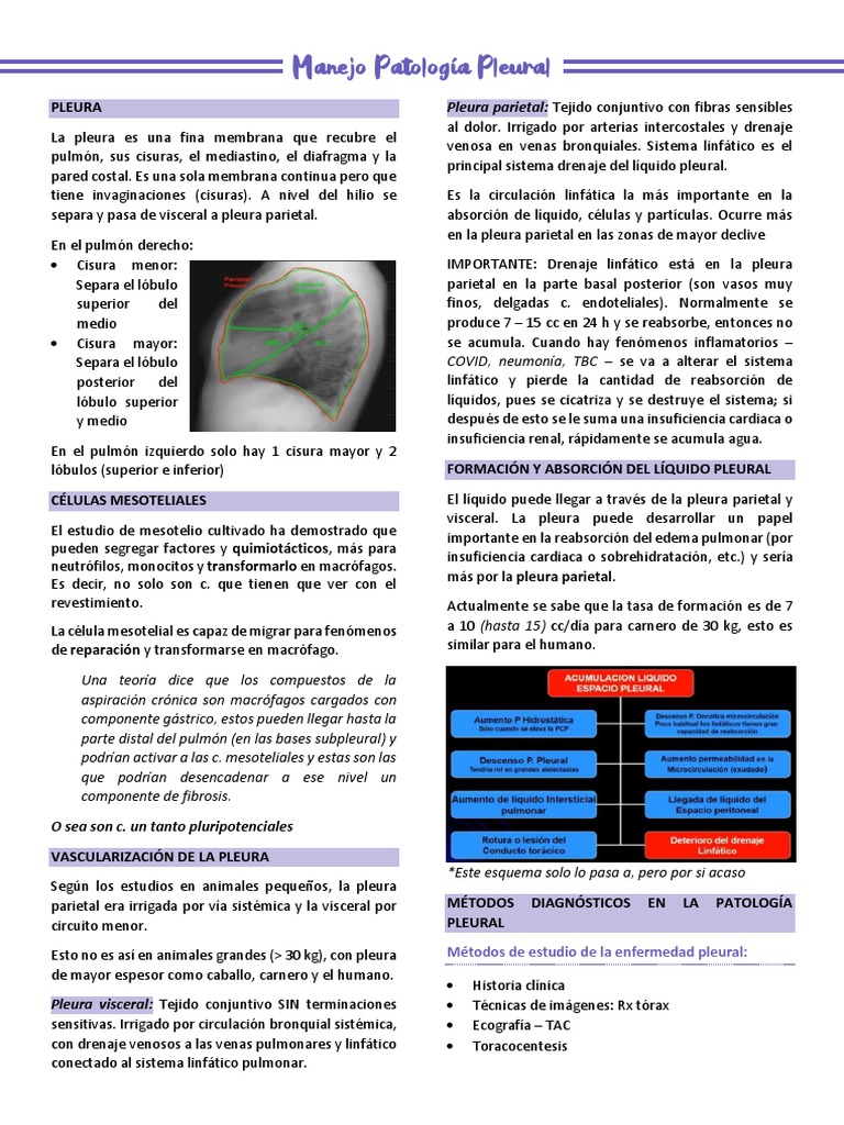 Patología pleural | PDF | Biopsia | Medicina CLINICA