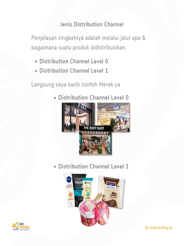 Distribution Channel DLM Bisnis | PDF