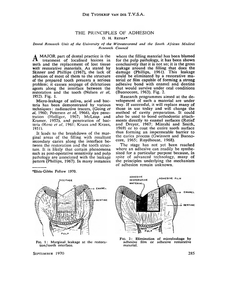 The Principles of Adhesion | PDF | Chemical Bond | Chemical Polarity