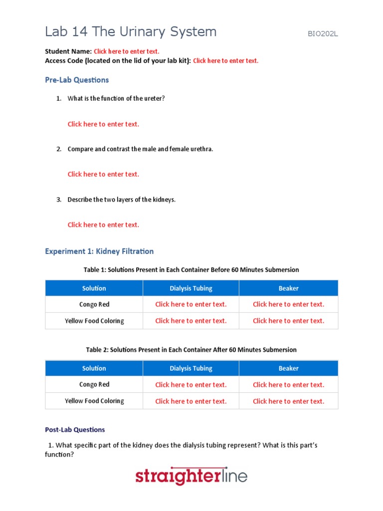 Analysis of Urine Samples: Diagnosing Conditions Through Urinalysis ...