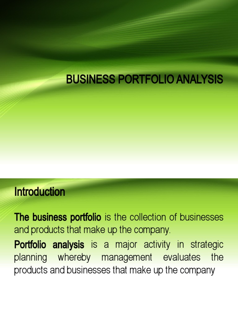 BUSINESS PORTFOLIO ANALYSIS | PDF | Marketing | Business Economics