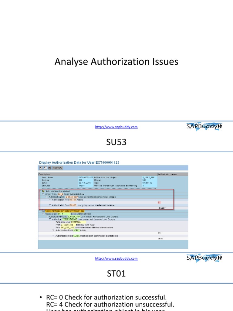 Analyse Authorization Issues | PDF