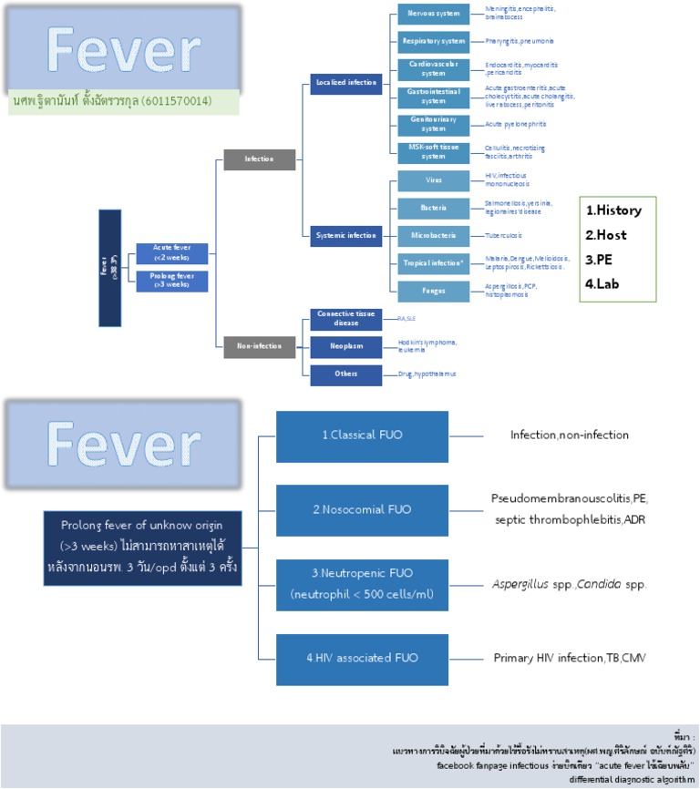 App Fever Edit1 | PDF