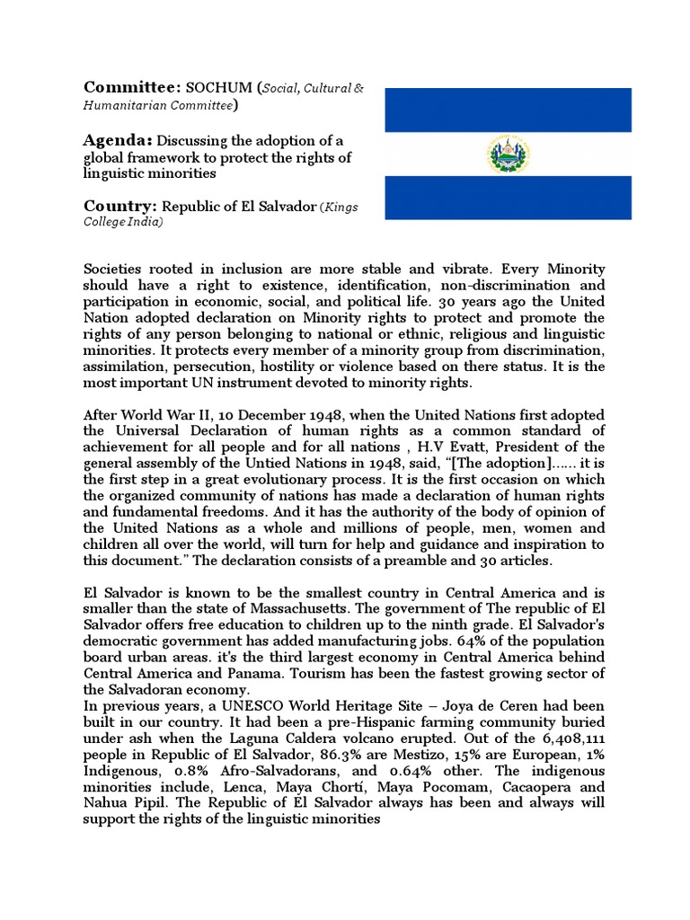 Position Paper by The Republic of El Salvador (SOCHUM) | PDF | El ...