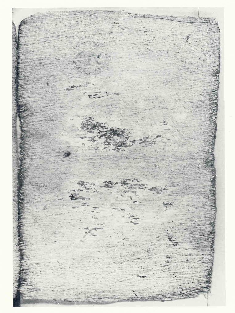 3 Códice París (Codex Peresianus) (sXIII) | PDF