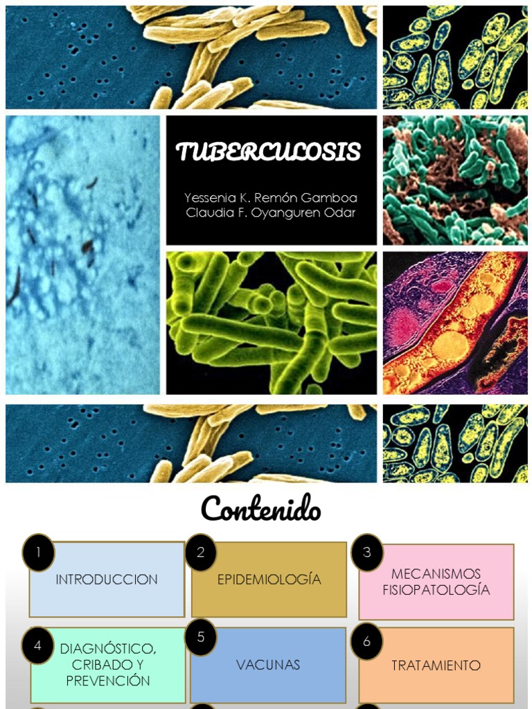 TUBERCULOSIS | PDF | Tuberculosis | Medicina CLINICA