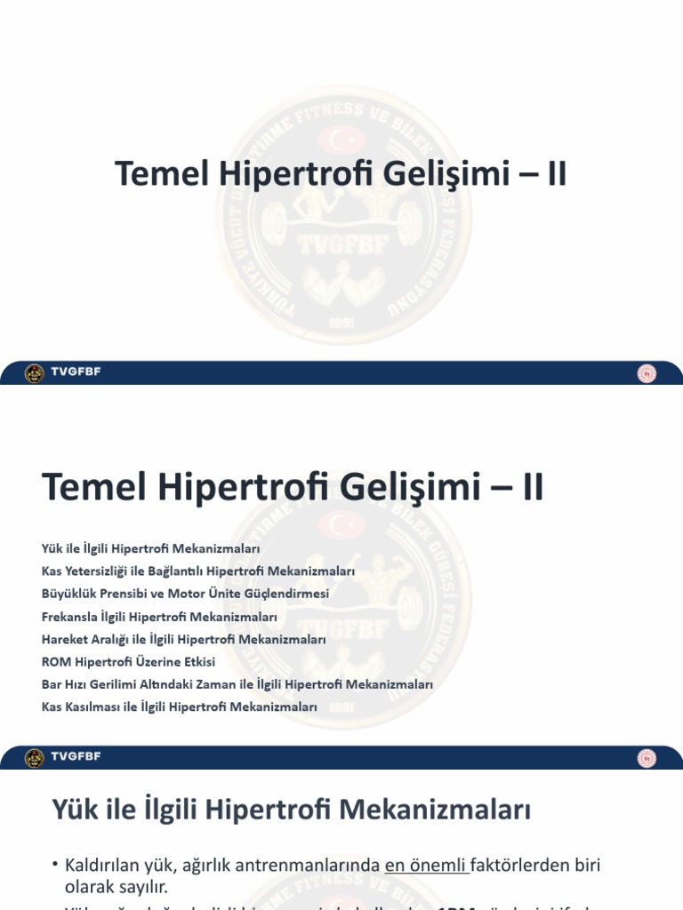 Temel Hipertrofi Gelişimi - II | PDF